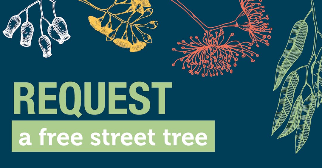 Street Tree Request Program | Engage Armadale